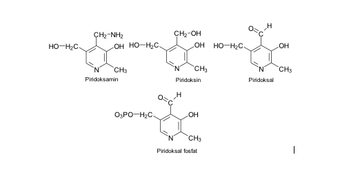Vitamin B6 ve Hayatımızdaki Önemi – Eczacı Dergisi
